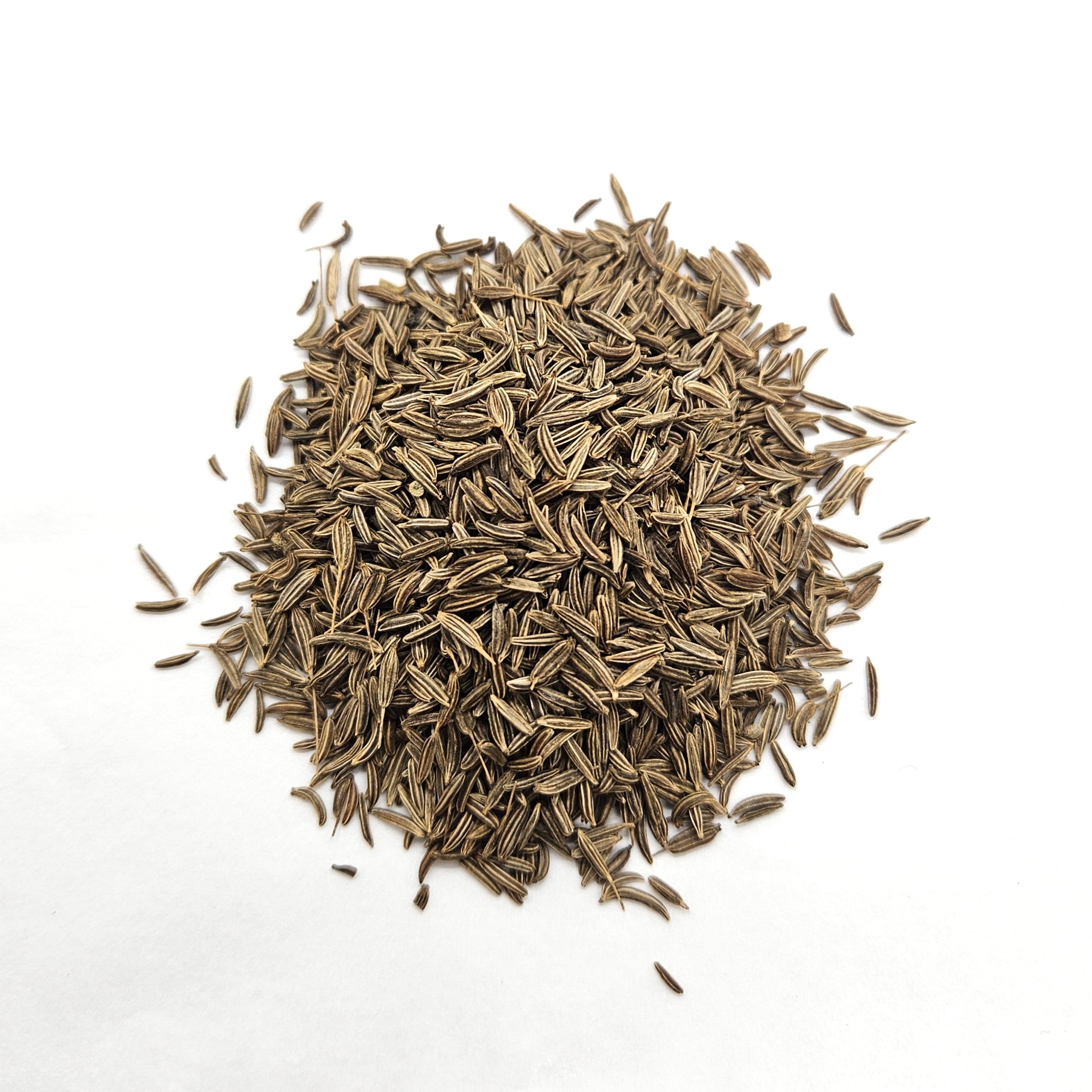 Caraway Seeds - Whole - Organic – Blue Teapot Tea & Herb Company